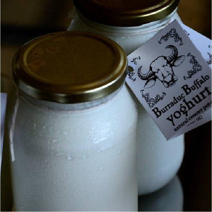Buffalo pot set Yoghurt, 500g | Burraduc Buffalo Dairy